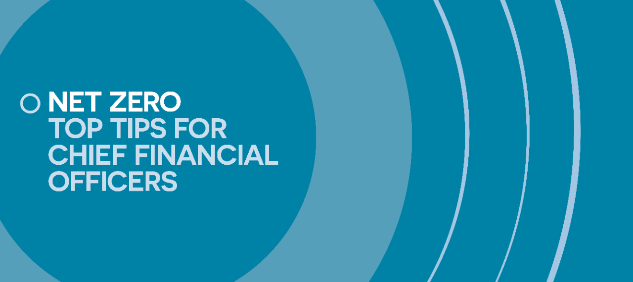 Net Zero Practical Examples