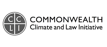 CCLI Report Launch and Reception