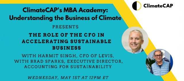 The Role of the CFO in Accelerating Sustainable Business
