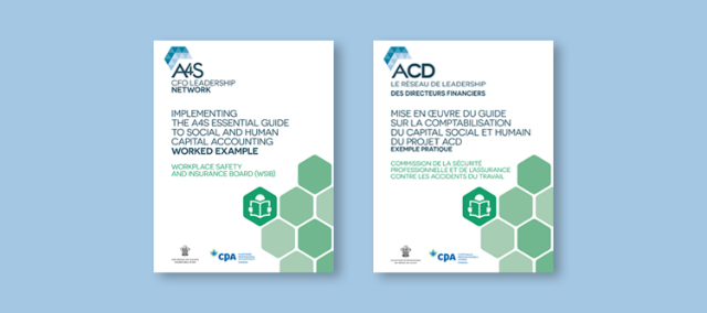 WSIB: Social and Human Capital Accounting Worked Example